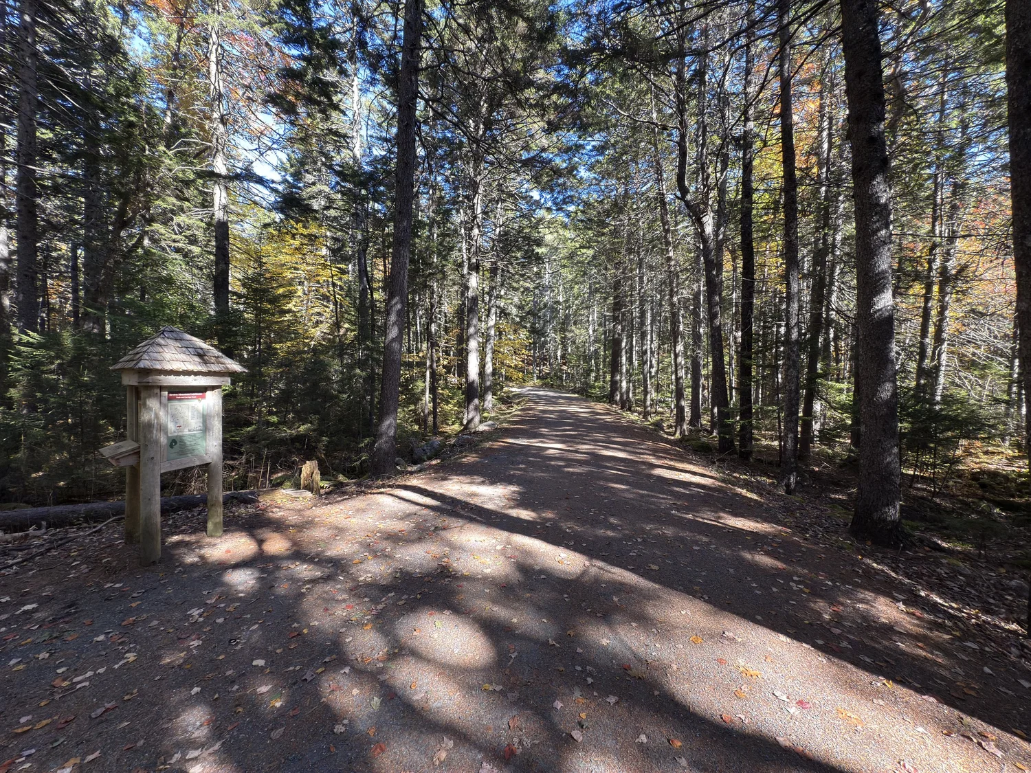 Hiking Cedar Swamp Mountain via Sargent South Ridge Trail in Acadia ...