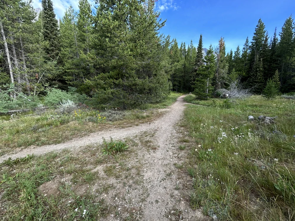 Hiking the Moose Ponds Loop Trail in Grand Teton National Park — noahawaii