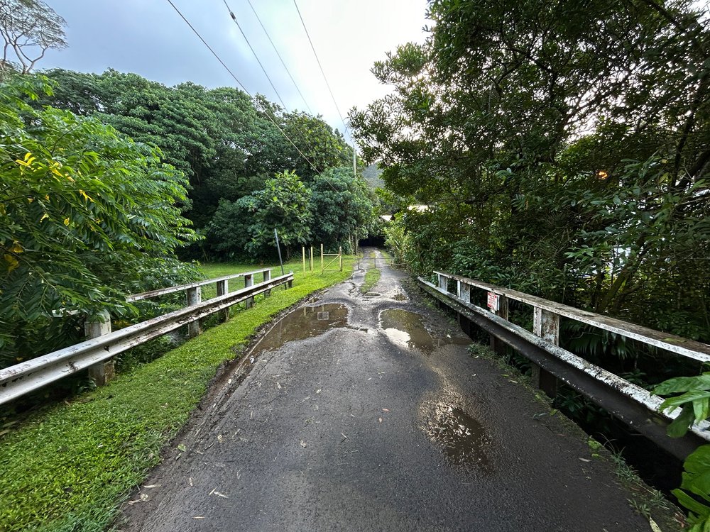Hiking the Mānoa Middle Ridge Trail on Oʻahu, Hawaiʻi — noahawaii
