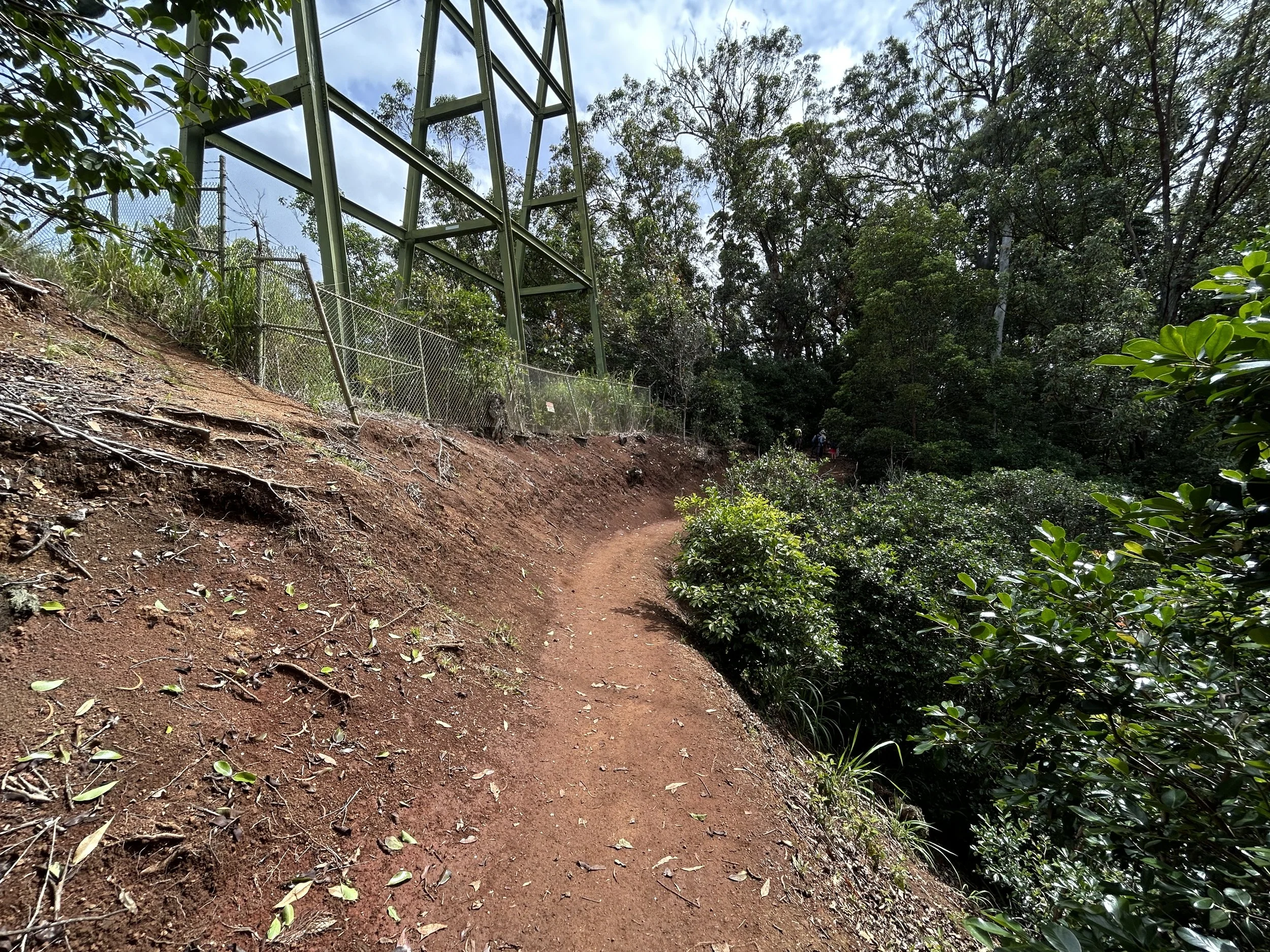 Hiking the ʻAiea Loop Trail on Oʻahu, Hawaiʻi — noahawaii