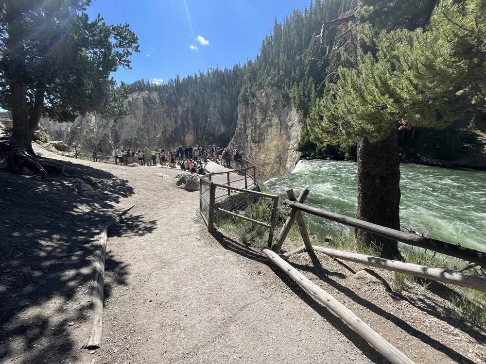 Hiking the Brink of the Lower Falls Trail in Yellowstone National Park ...