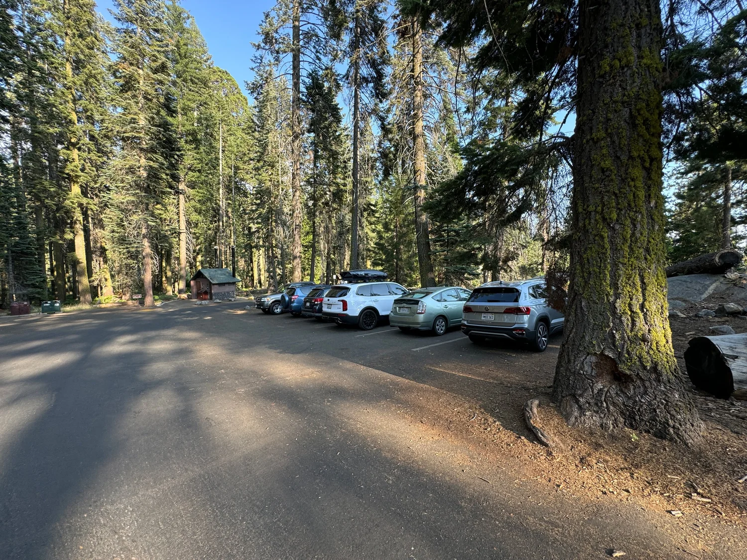 Hiking the Crescent Meadow Loop Trail in Sequoia National Park — noahawaii