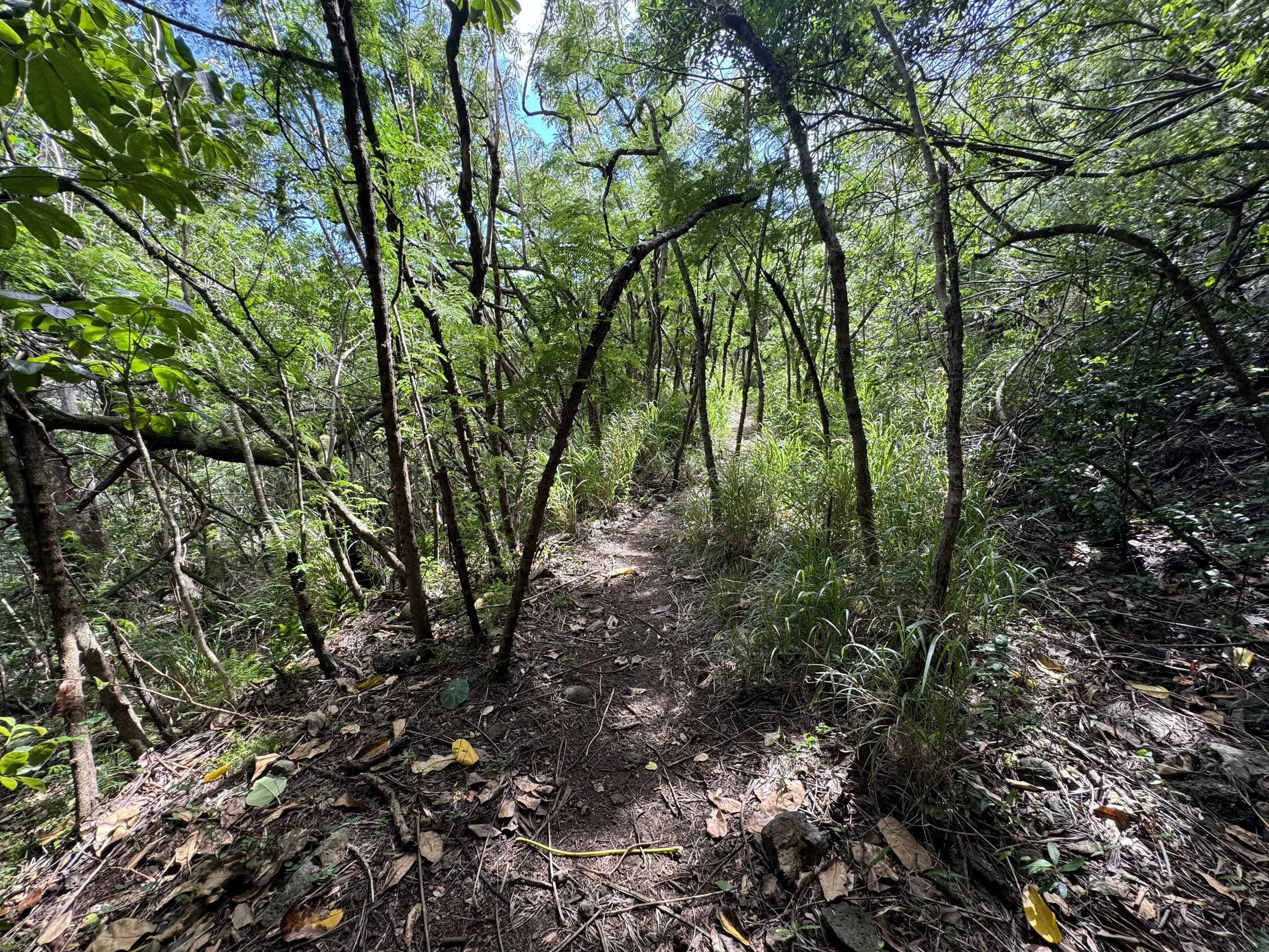 Hiking the Pyramid Rock Loop Trail on Oʻahu, Hawaiʻi — noahawaii