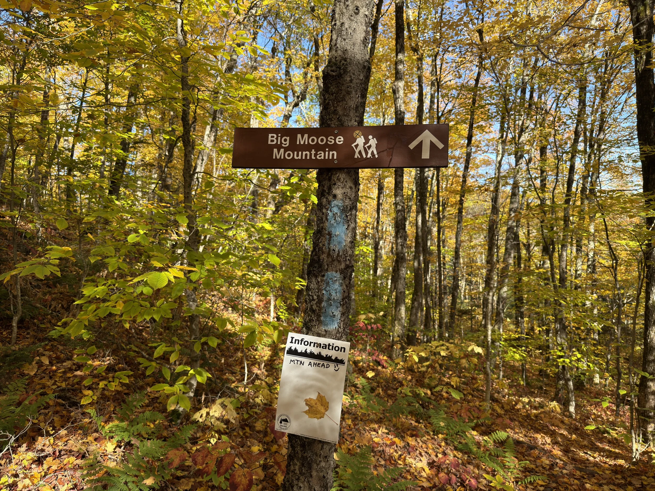Hiking the Little Moose Pond Loop Trail in Greenville, Maine — noahawaii