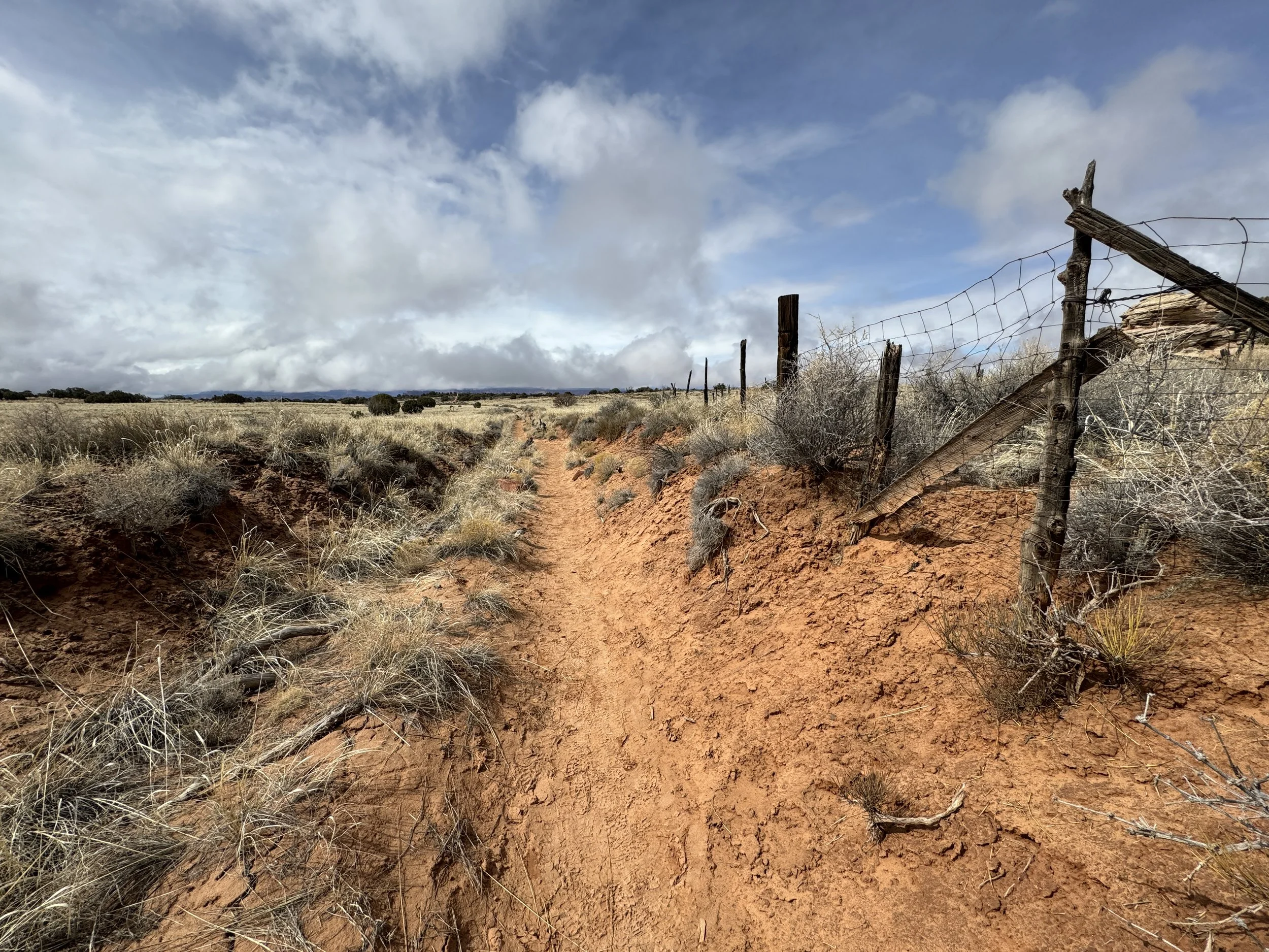 Hiking the Murphy Point Trail in Canyonlands National Park — noahawaii