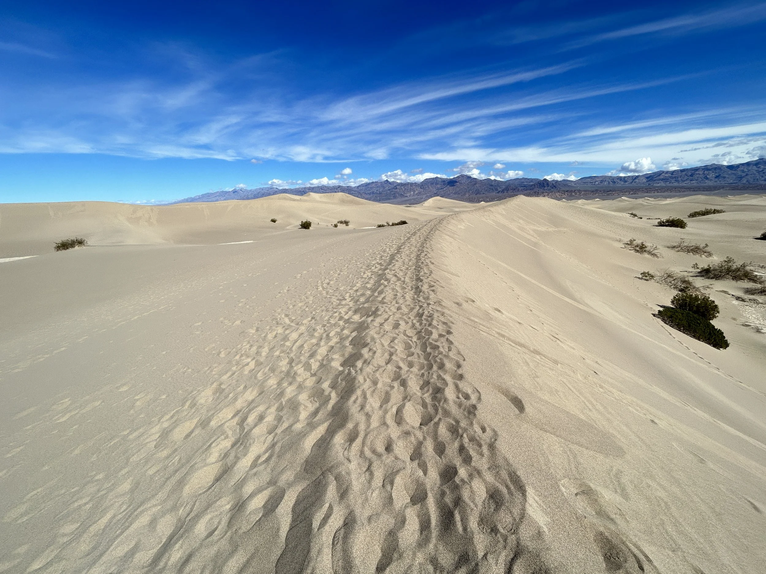 Hiking the Mesquite Flat Sand Dunes Trail (The High Dune) in Death ...