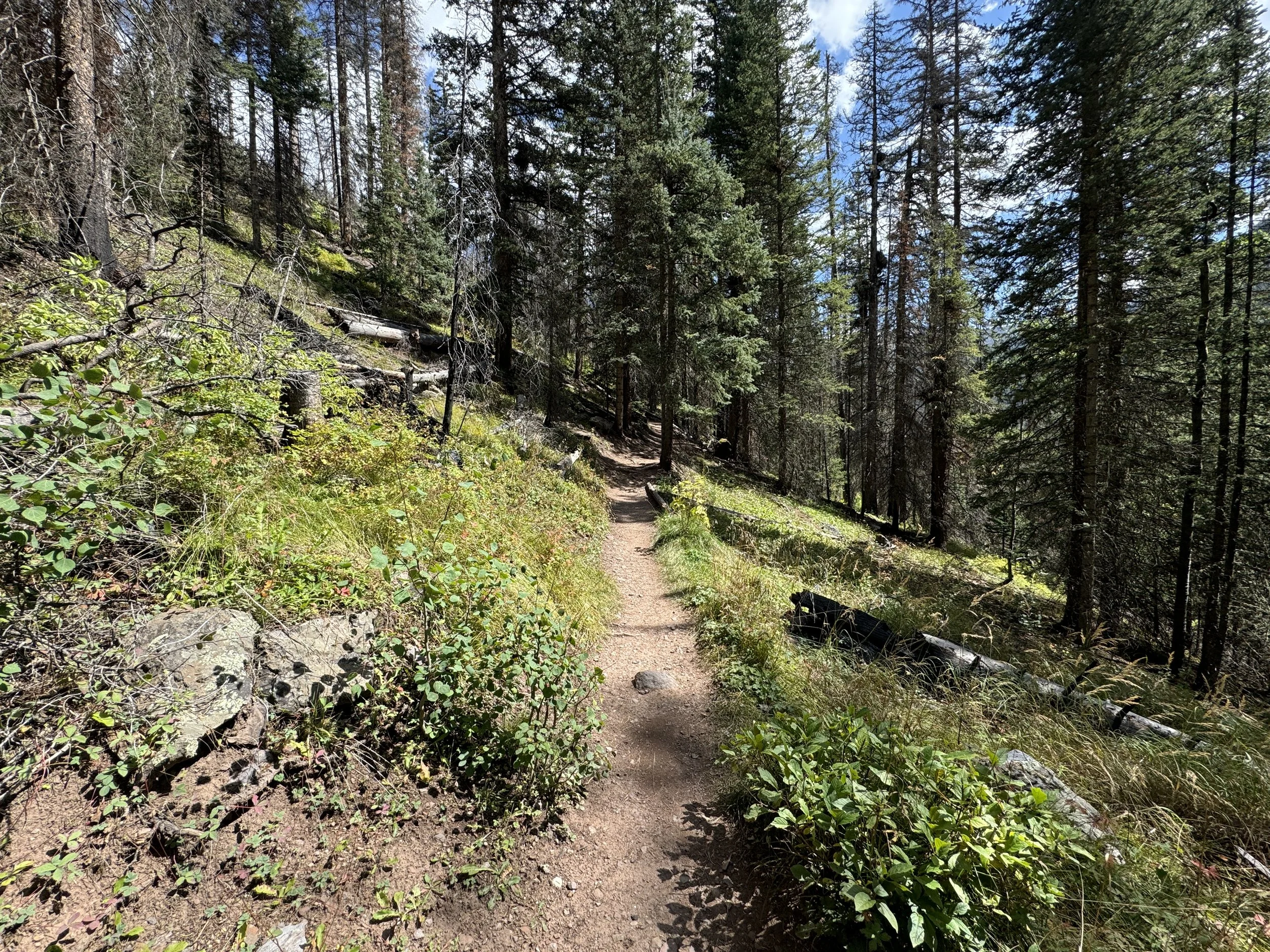 Hiking the Ice & Island Lake Trail in Silverton, Colorado — noahawaii