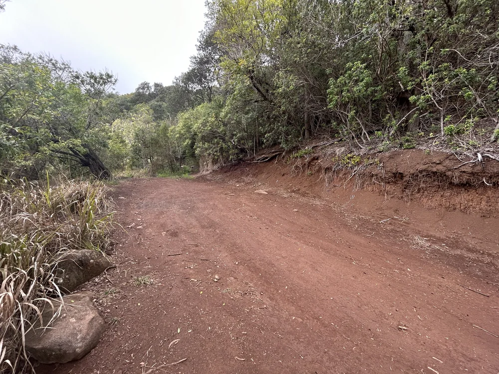 Hiking the Mokulēʻia Trail on Oʻahu — noahawaii