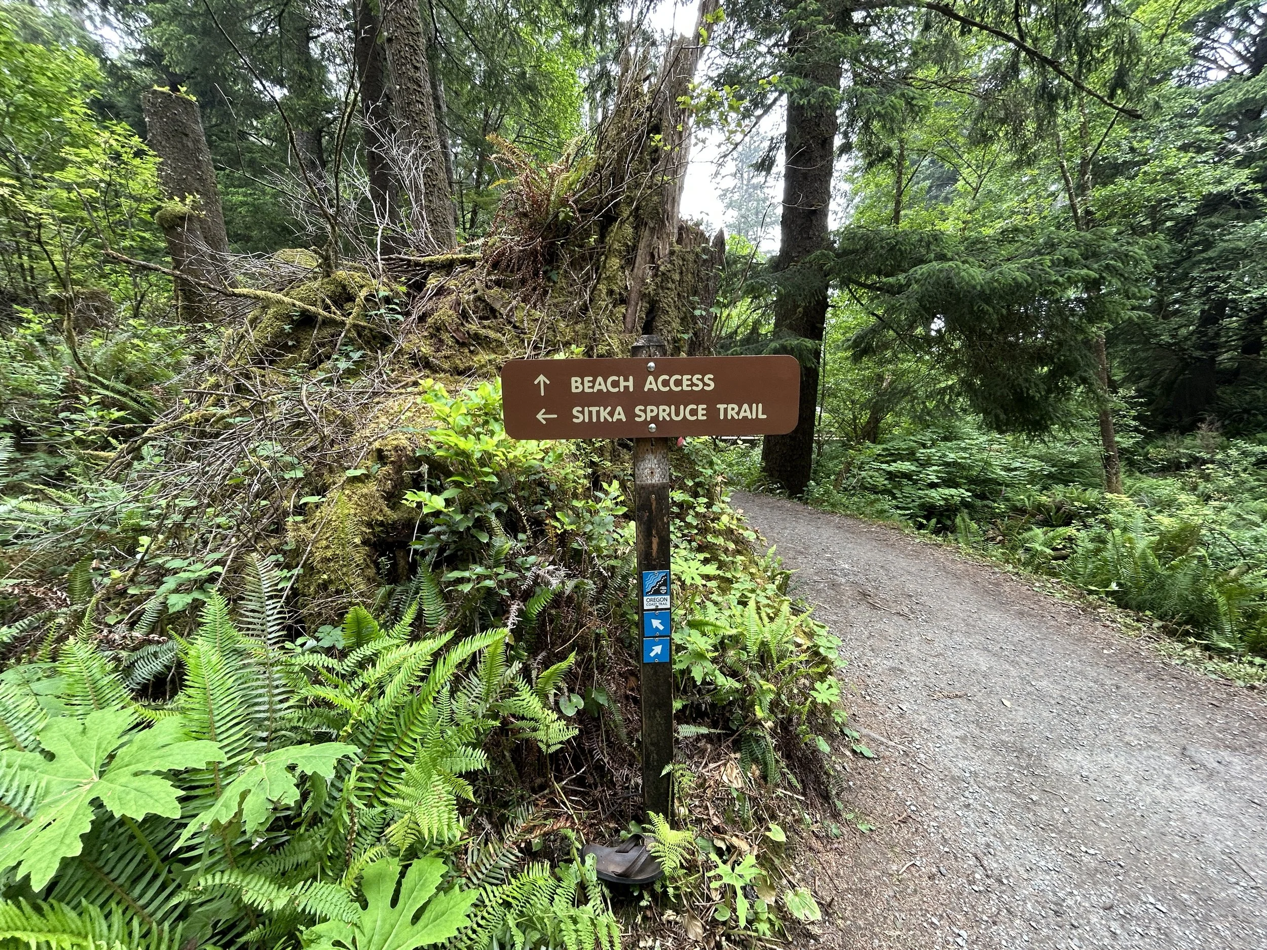 Hiking the Short Sand Beach Trail on the Oregon Coast — noahawaii
