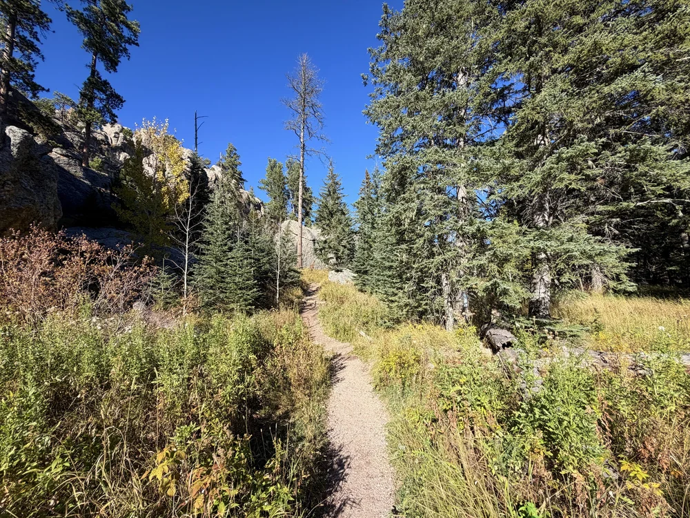 Hiking the Little Devils Tower Trail in Custer State Park in the Black ...