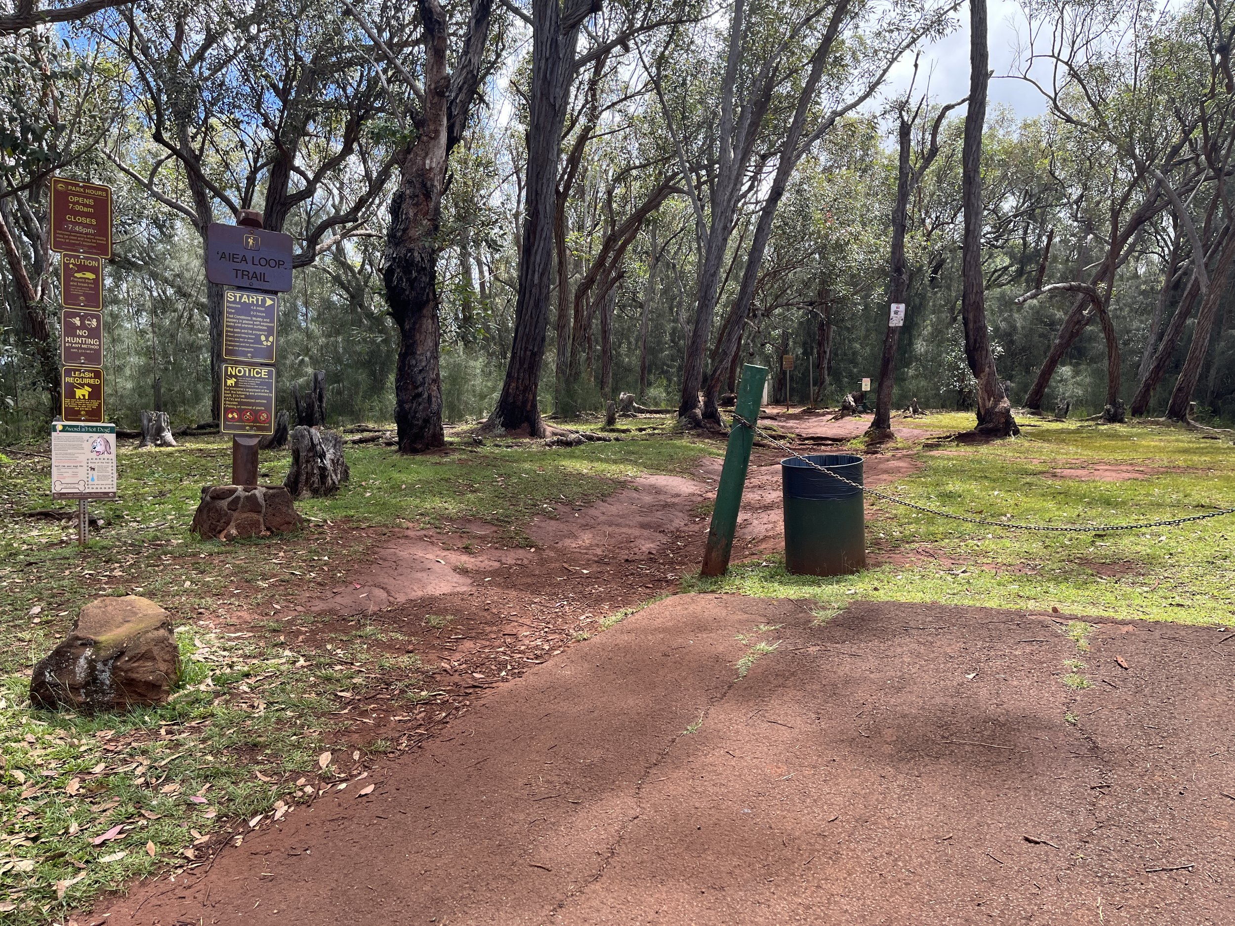 Hiking the Kalauao Falls Loop Trail on Oʻahu, Hawaiʻi — noahawaii