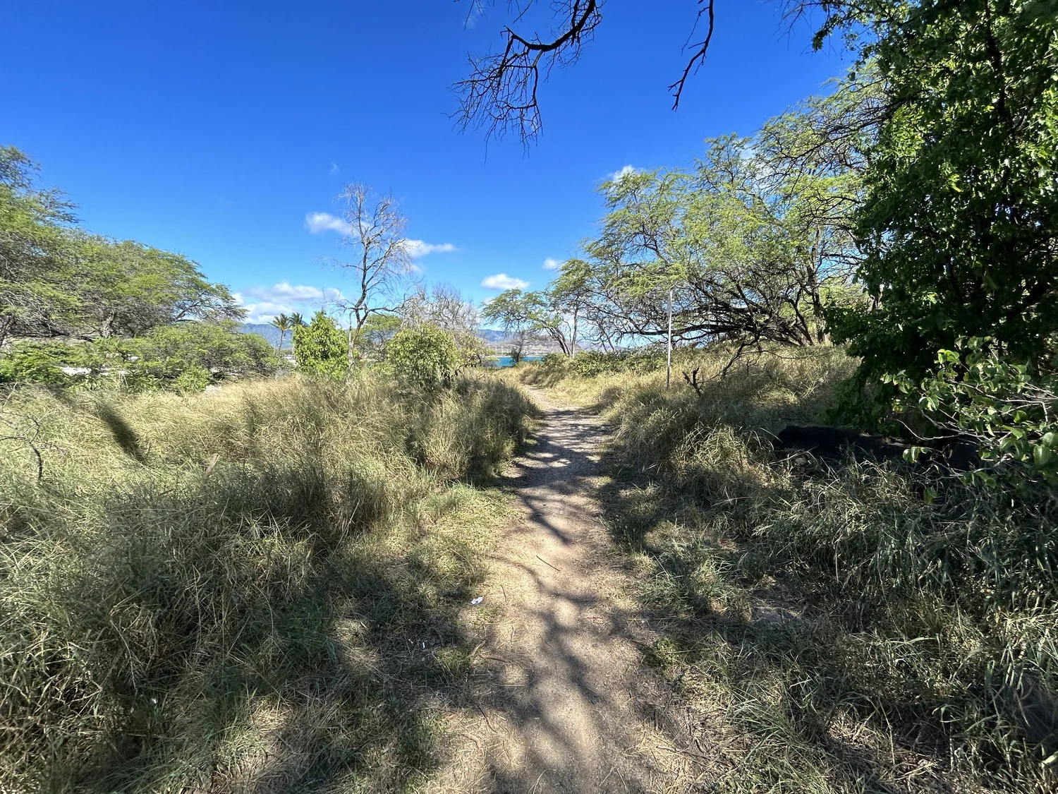 Hiking the Mauna Lahilahi Trail (Turtle Rock) on Oʻahu, Hawaiʻi — noahawaii