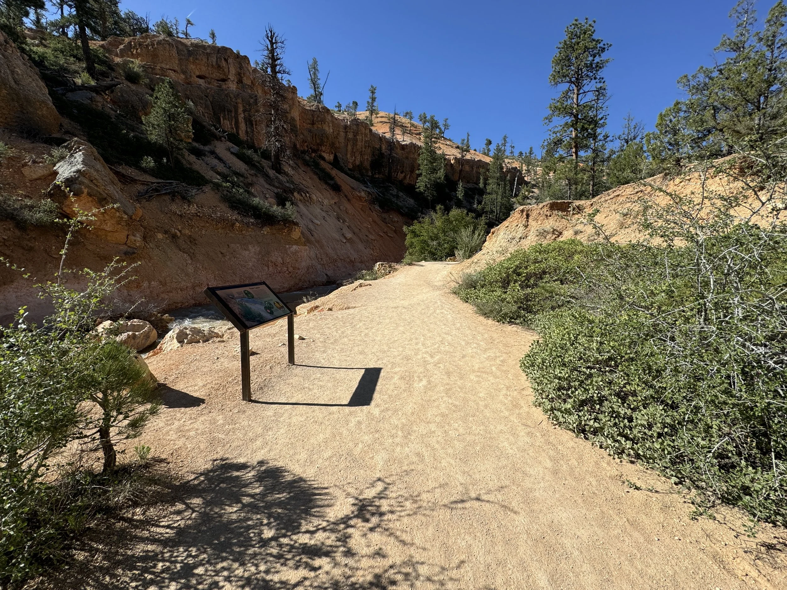 Hiking the Mossy Cave Trail in Bryce Canyon National Park — noahawaii