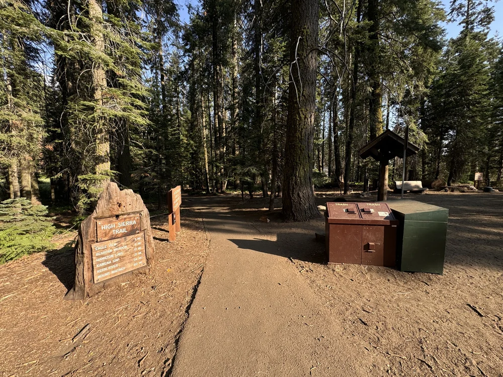 Hiking the Crescent Meadow Loop Trail in Sequoia National Park — noahawaii