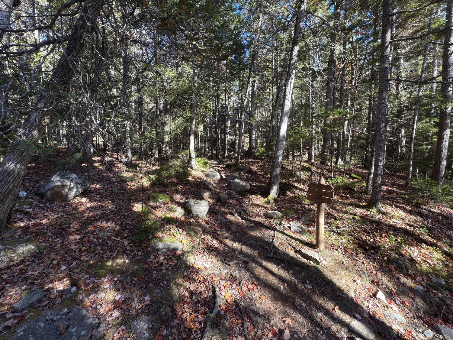 Hiking the Hadlock Ponds Loop Trail in Acadia National Park — noahawaii