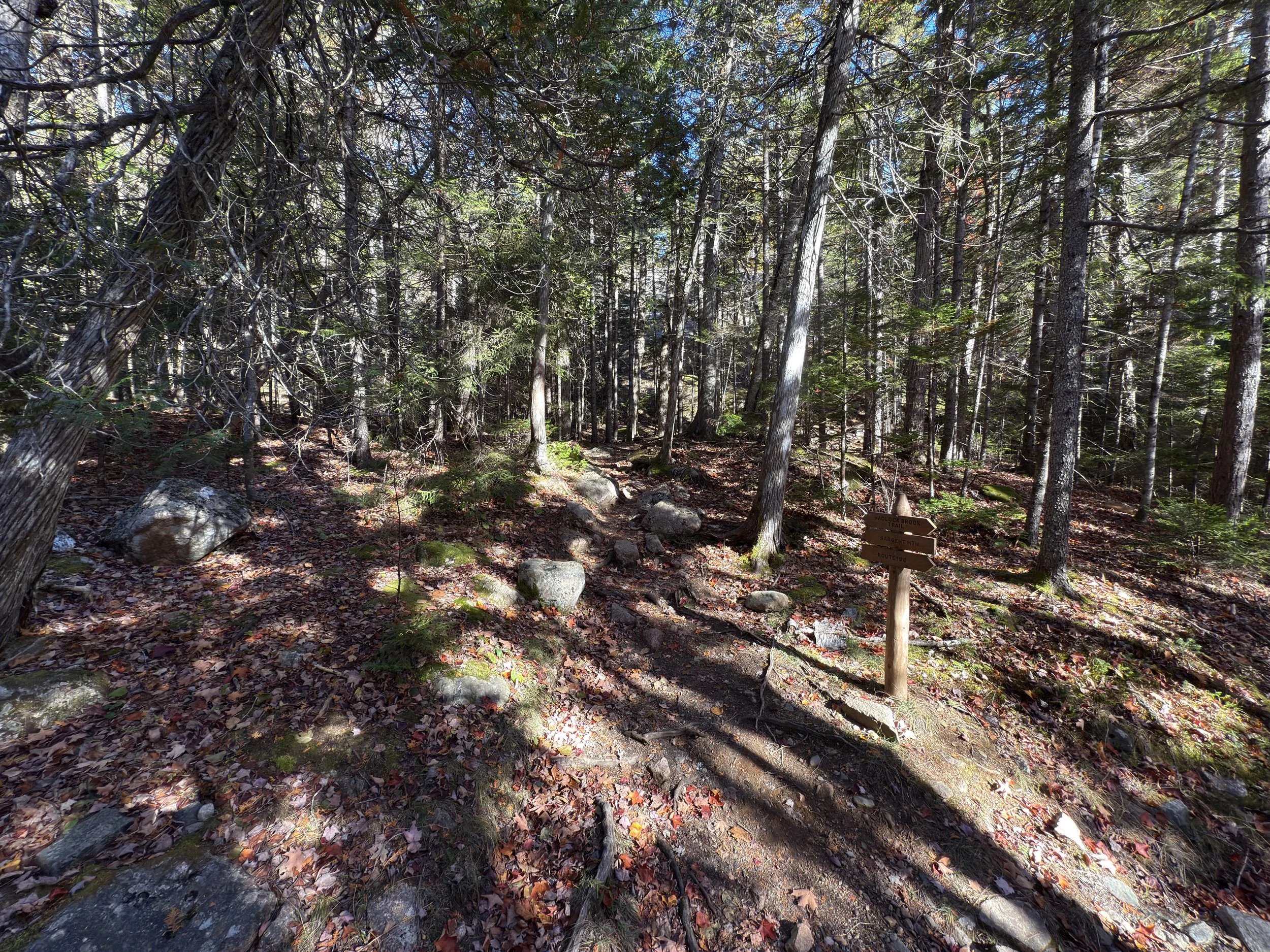 Hiking the Hadlock Ponds Loop Trail in Acadia National Park — noahawaii