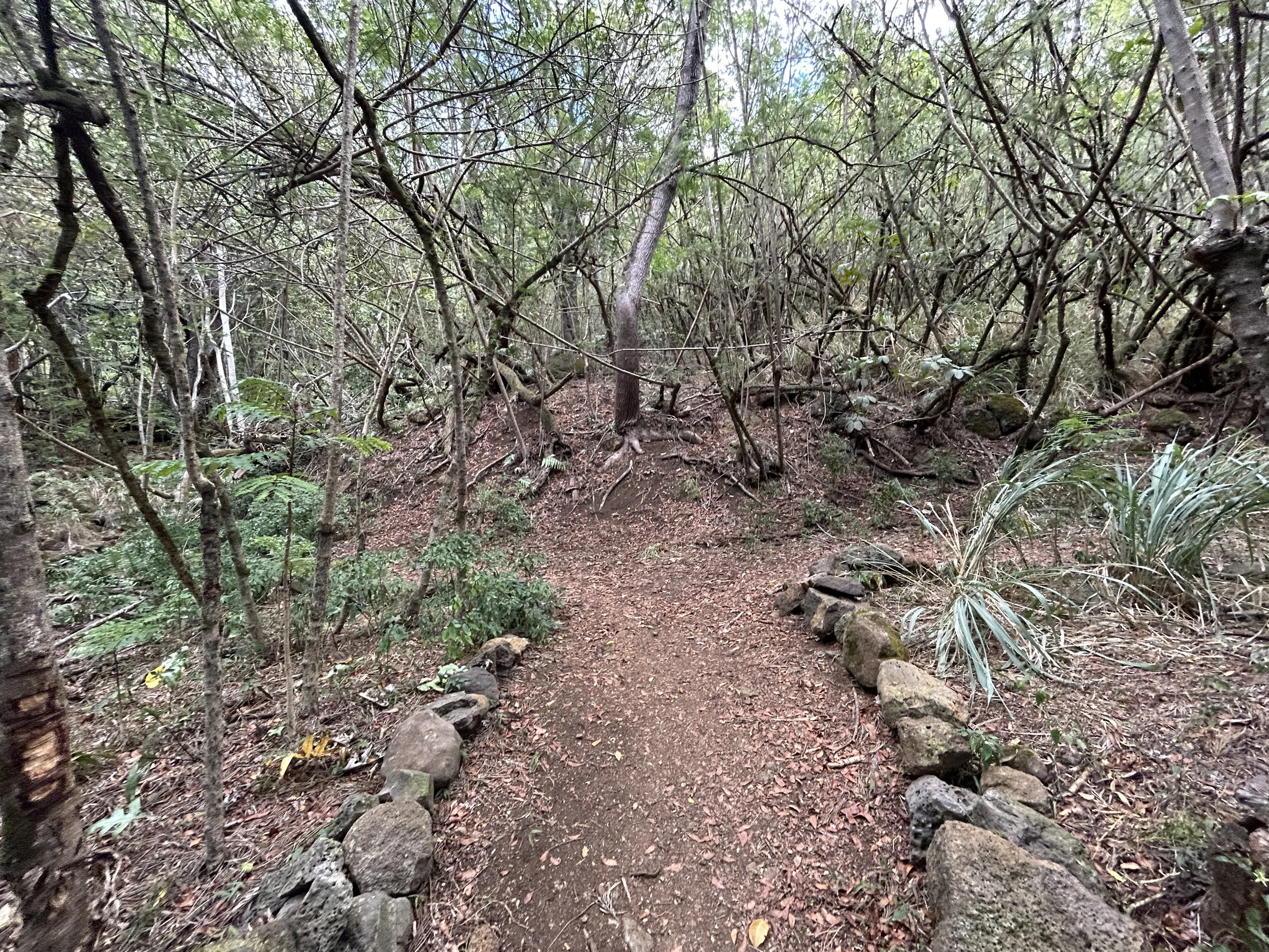 Hiking the Pyramid Rock Loop Trail on Oʻahu — noahawaii