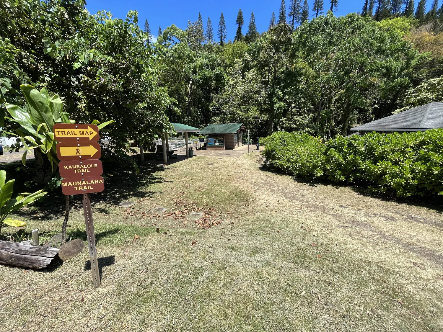 Hiking the Tantalus Loop Trail to the Pauoa Flats Bench on Oʻahu ...