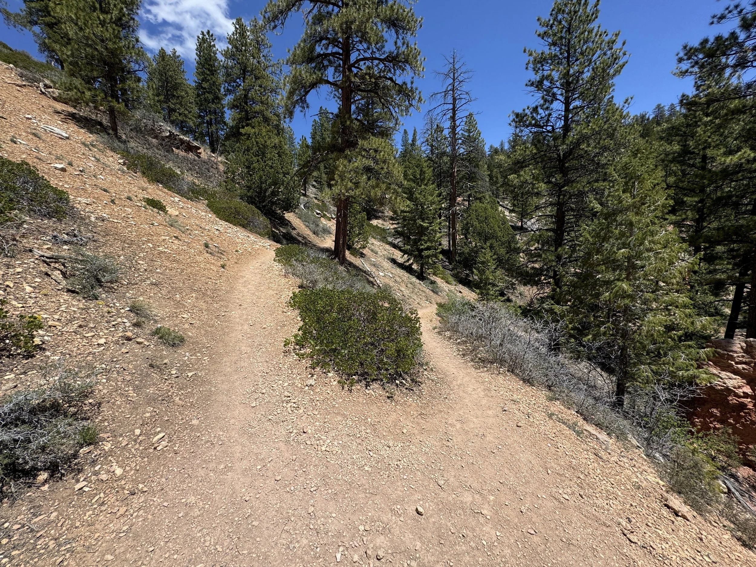 Hiking the Swamp Canyon Loop Trail in Bryce Canyon National Park ...