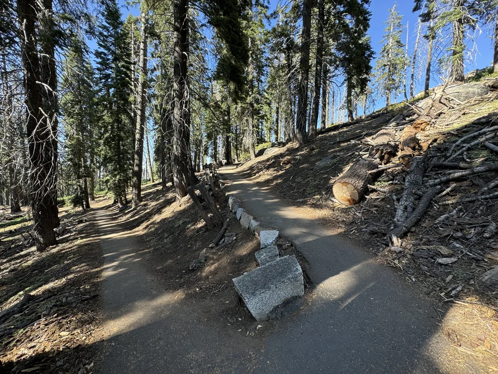 Hiking the Panoramic Point Trail in Kings Canyon National Park — noahawaii