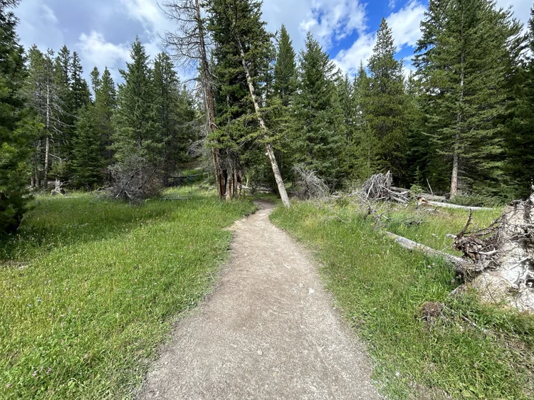 Hiking the Observation Point Trail in Yellowstone National Park — noahawaii