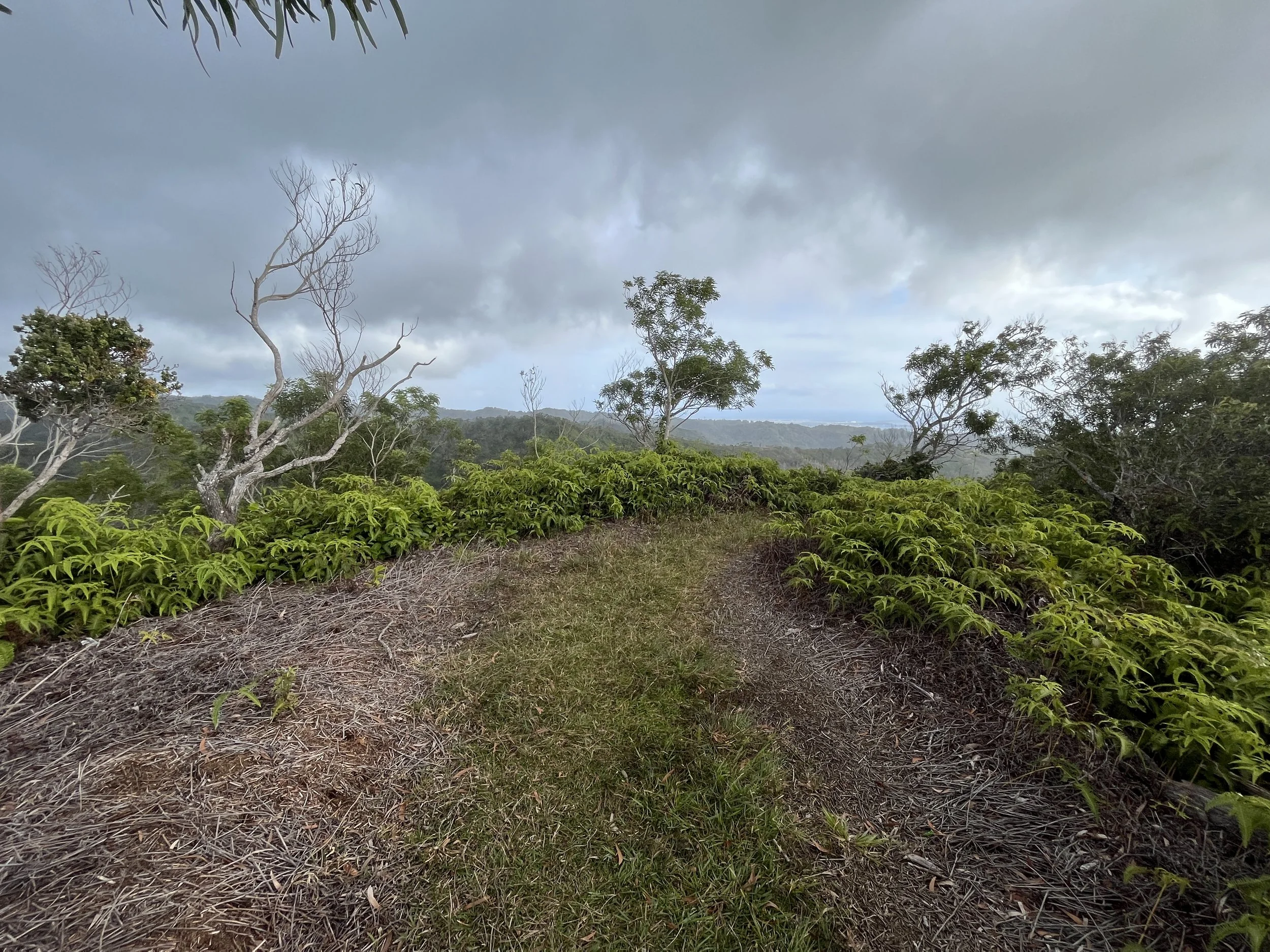 Hiking the ʻIliahi Ridge Trail on Oʻahu — noahawaii