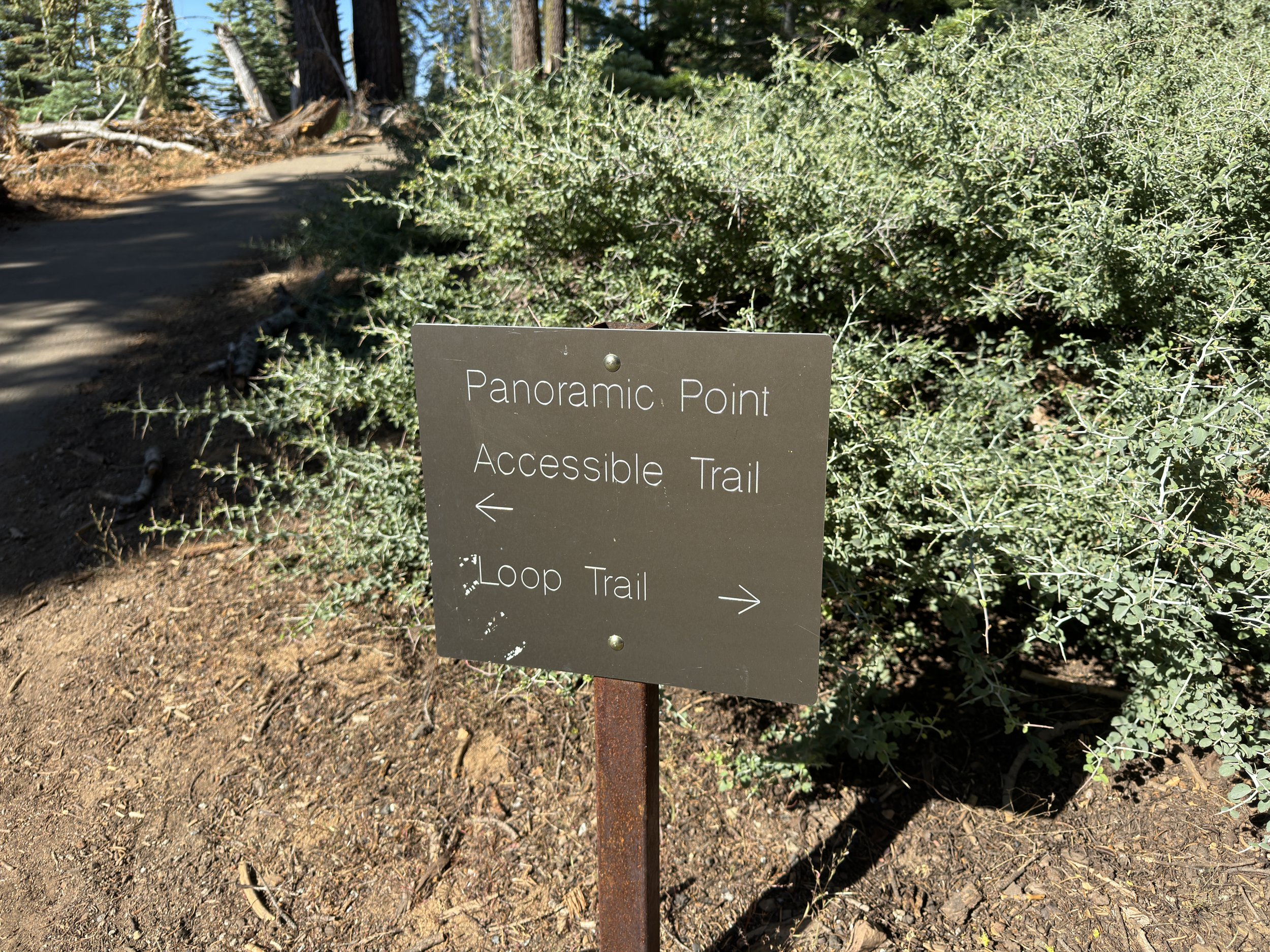 Hiking the Panoramic Point Trail in Kings Canyon National Park — noahawaii