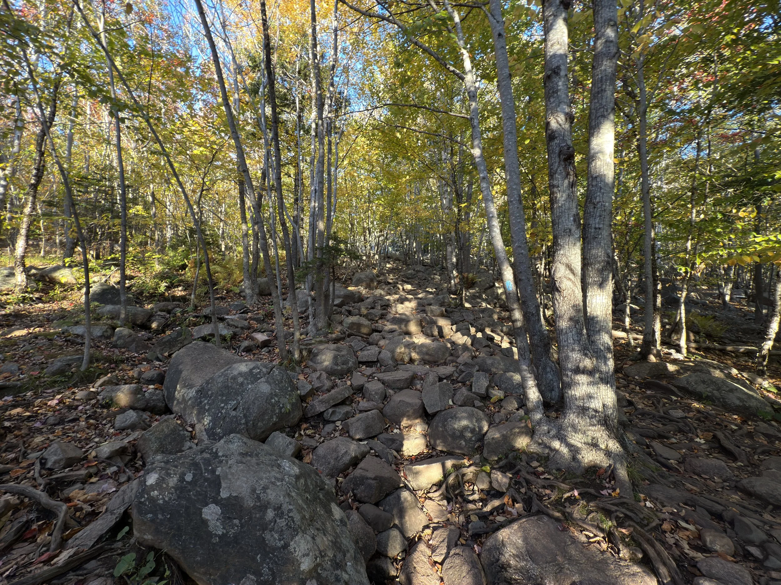 Hiking the Beehive Trail in Acadia National Park — noahawaii