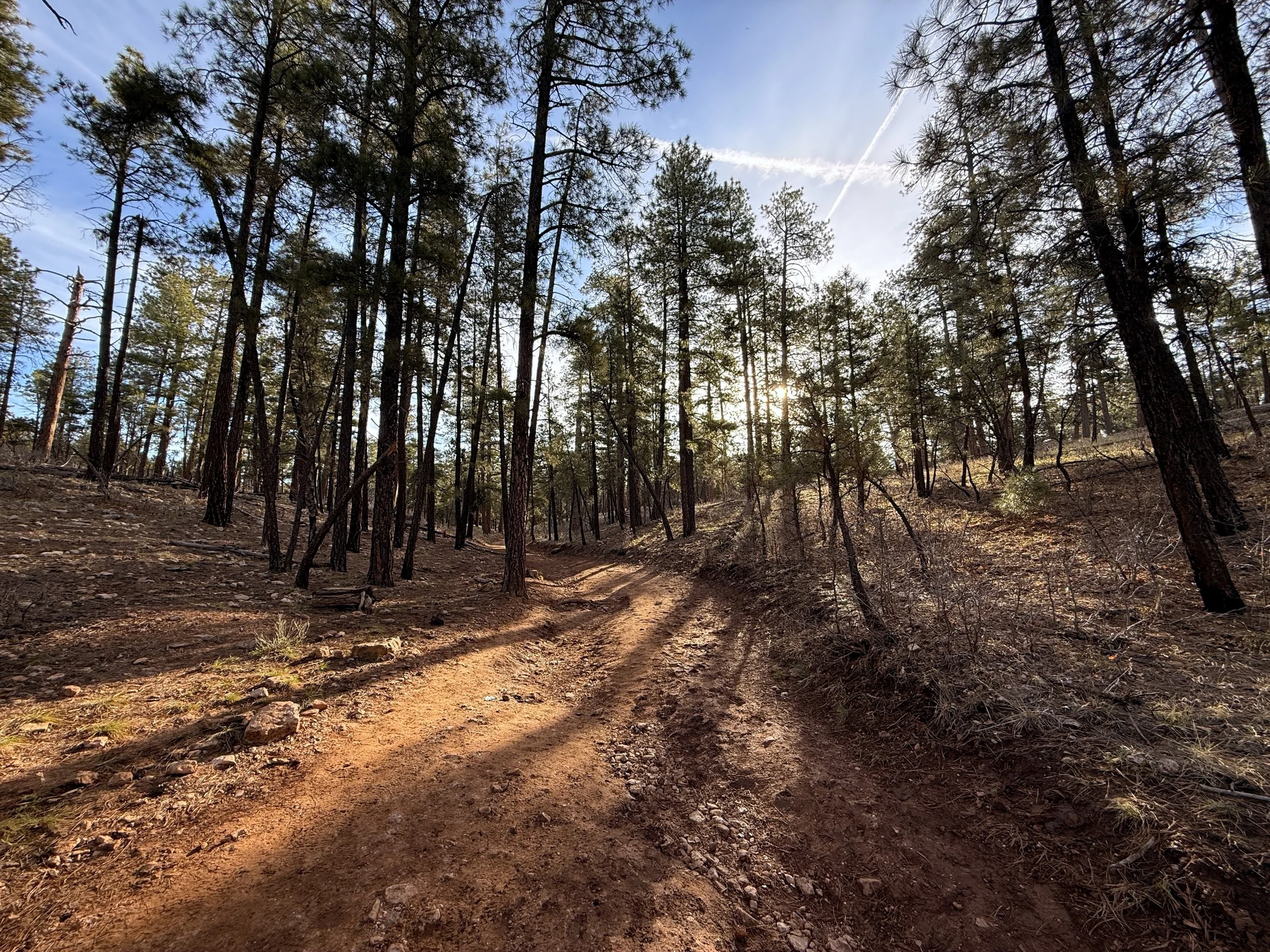 Hiking the Shoshone Point Trail in Grand Canyon National Park — noahawaii