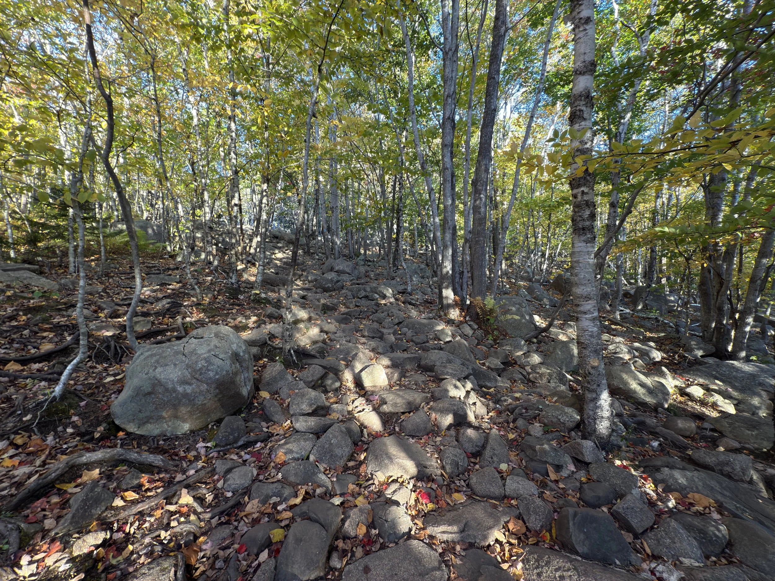 Hiking the Beehive Trail in Acadia National Park — noahawaii