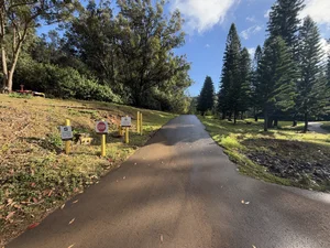 Hiking the Koloiki Ridge-Kaiholena Ridge Loop Trail on Lānaʻi, Hawaiʻi ...