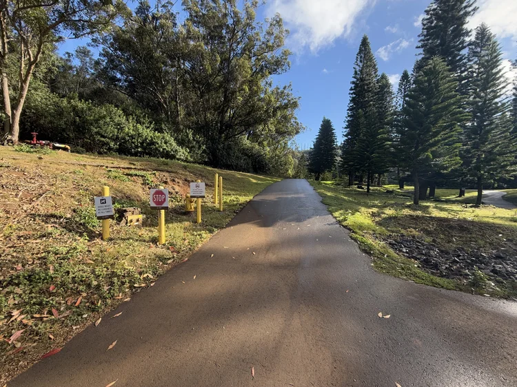 Hiking the Koloiki Ridge-Kaiholena Ridge Loop Trail on Lānaʻi, Hawaiʻi ...