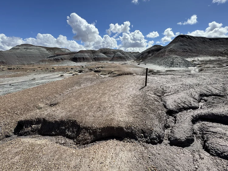 Hiking the Historic Blue Forest Trail in Petrified Forest National Park ...