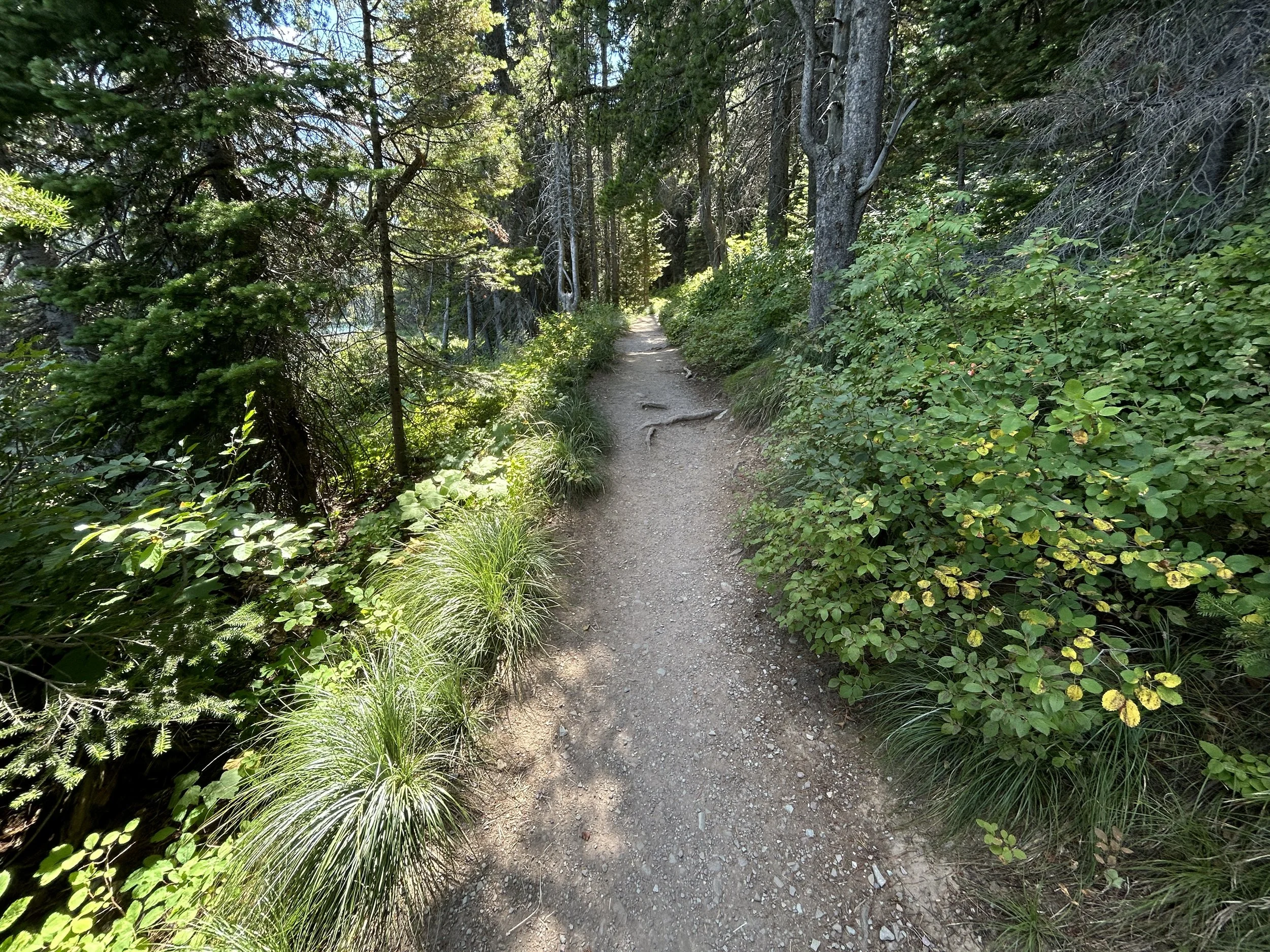 Hiking the Grinnell Glacier Trail in Glacier National Park — noahawaii