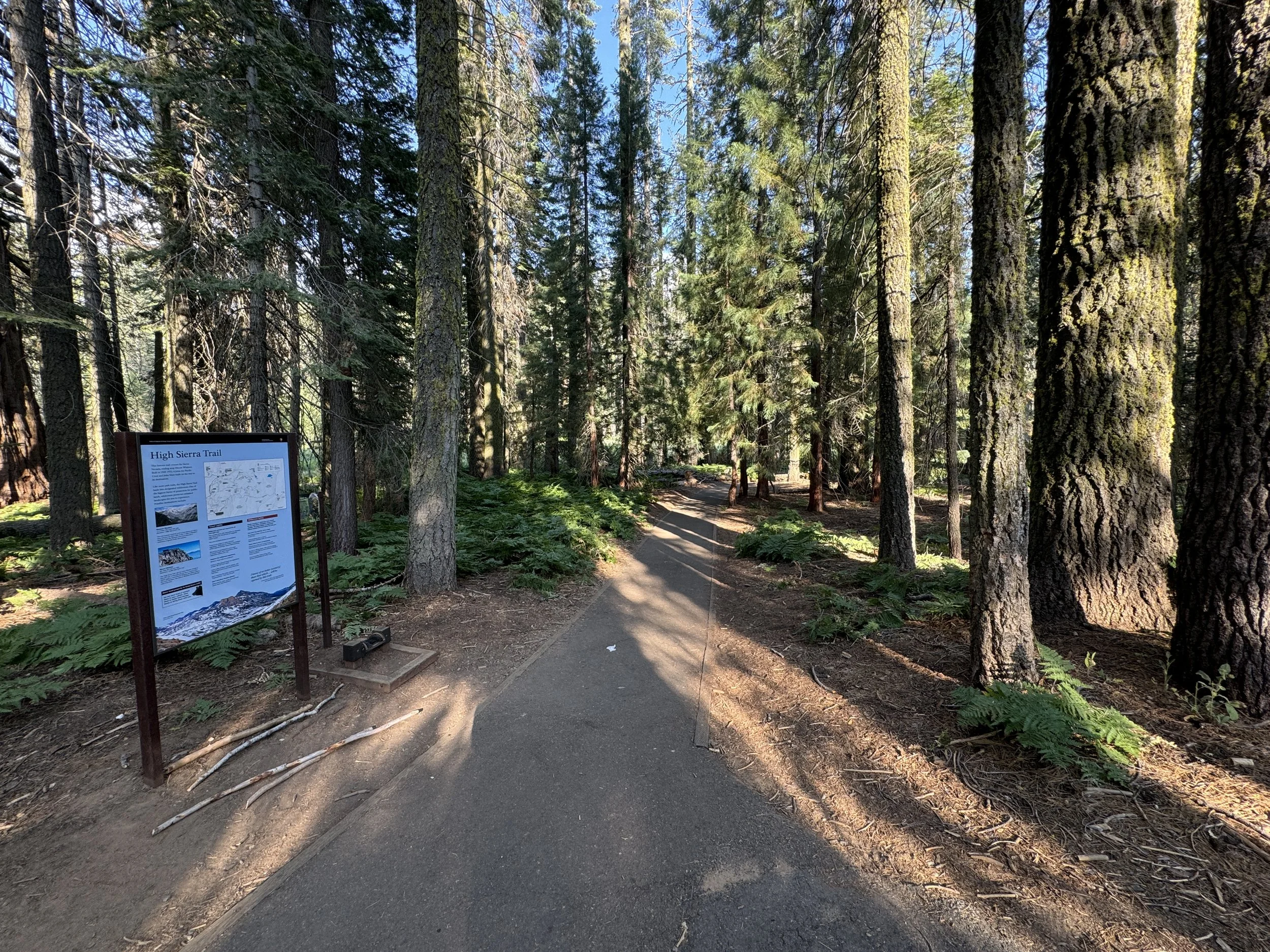 Hiking the Crescent Meadow Loop Trail in Sequoia National Park — noahawaii