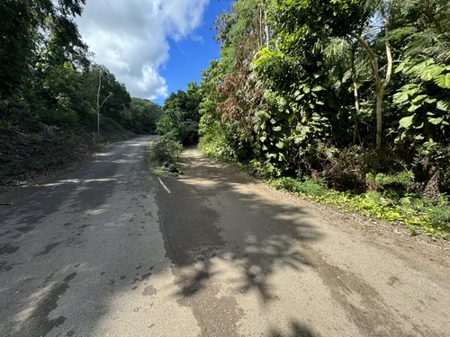 Hiking the Hālawa Valley Trail to Moaʻula & Hīpuapua Falls on Molokai ...