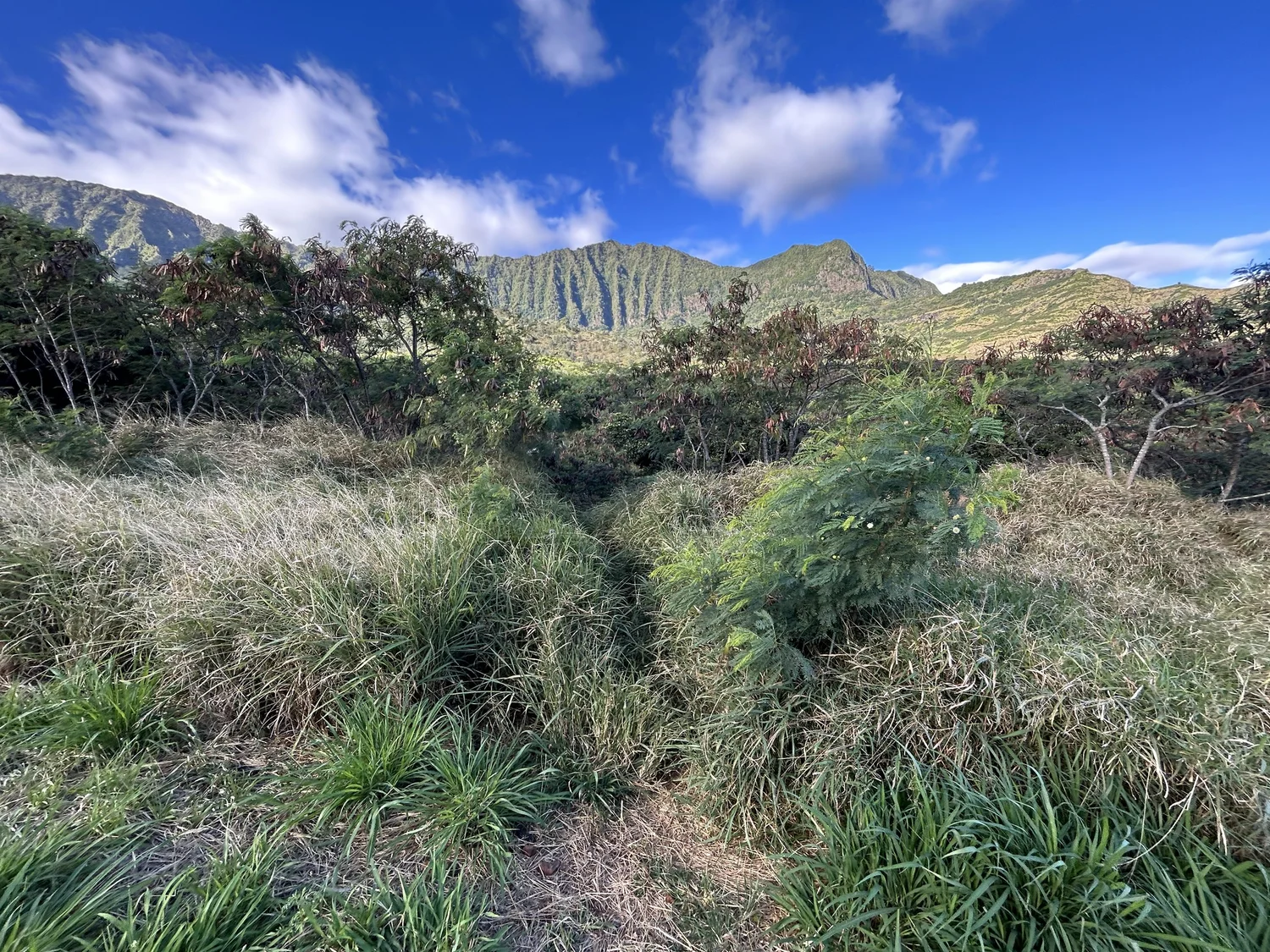Hiking the Lualualei Lookout Trail on Oʻahu, Hawaiʻi — noahawaii