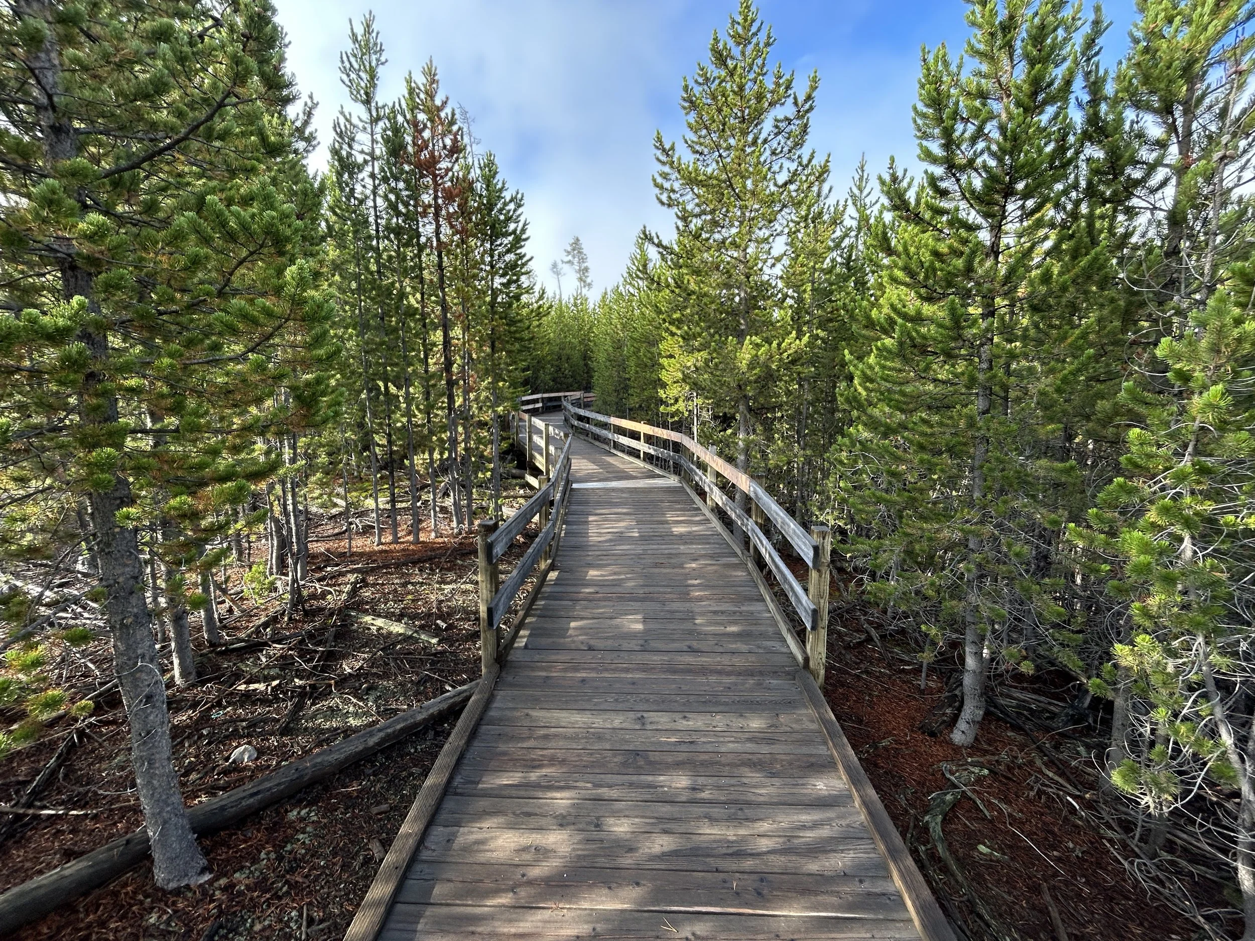 Hiking the Norris Geyser Basin Trail in Yellowstone National Park ...