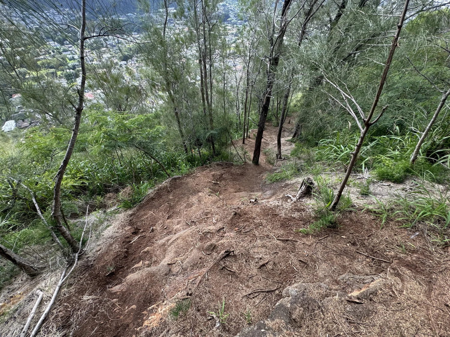Hiking the Kapālama Ridge Trail to Puʻu Lanihuli on Oʻahu, Hawaiʻi ...