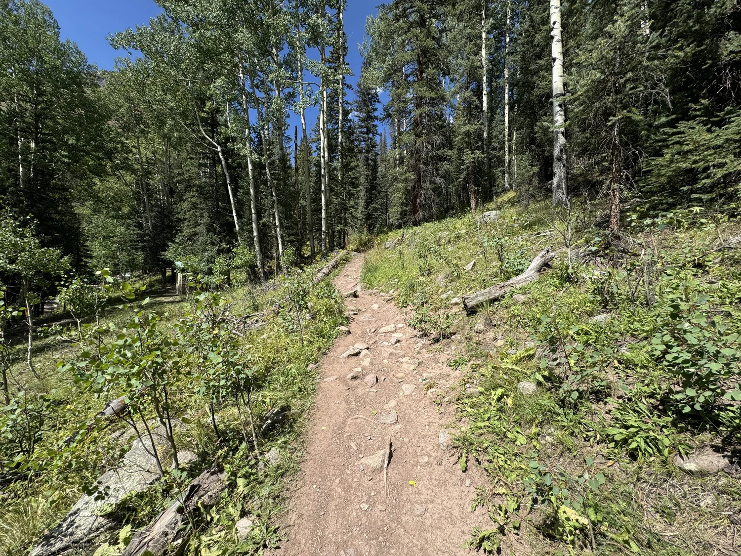 Hiking the Ice & Island Lake Trail in Silverton, Colorado — noahawaii