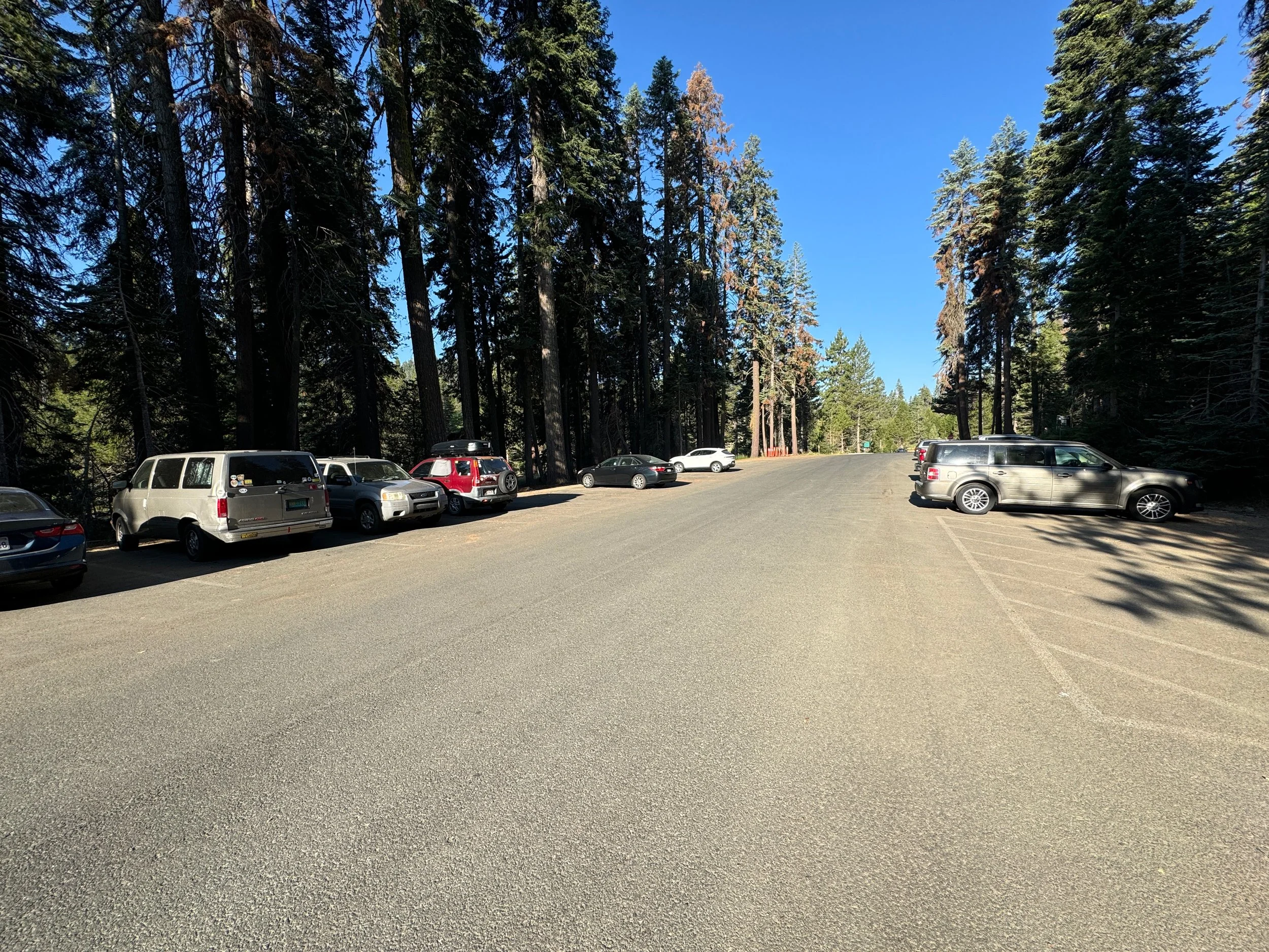 Hiking the Long Meadow Loop Trail in Sequoia National Park — noahawaii