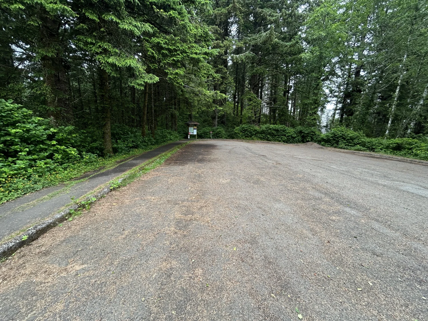 Hiking the Cape Lookout Trail on the Oregon Coast — noahawaii