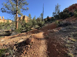 Hiking the Pink Ledges-Birdseye-Photo Loop Trail in Red Canyon, Utah ...