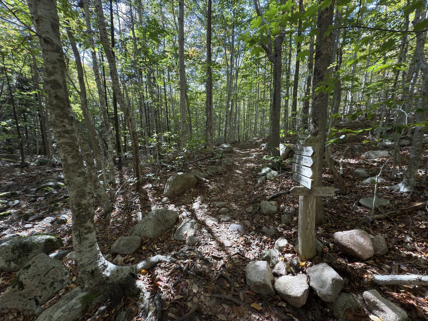 Hiking the Bubbles Trail in Acadia National Park — noahawaii