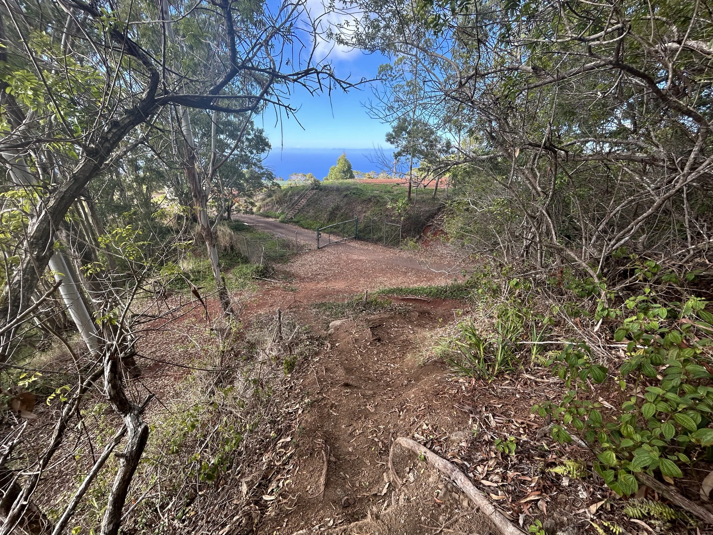 Hiking Oʻahu's Waiʻanae Summit Trail (WST) West to East — noahawaii