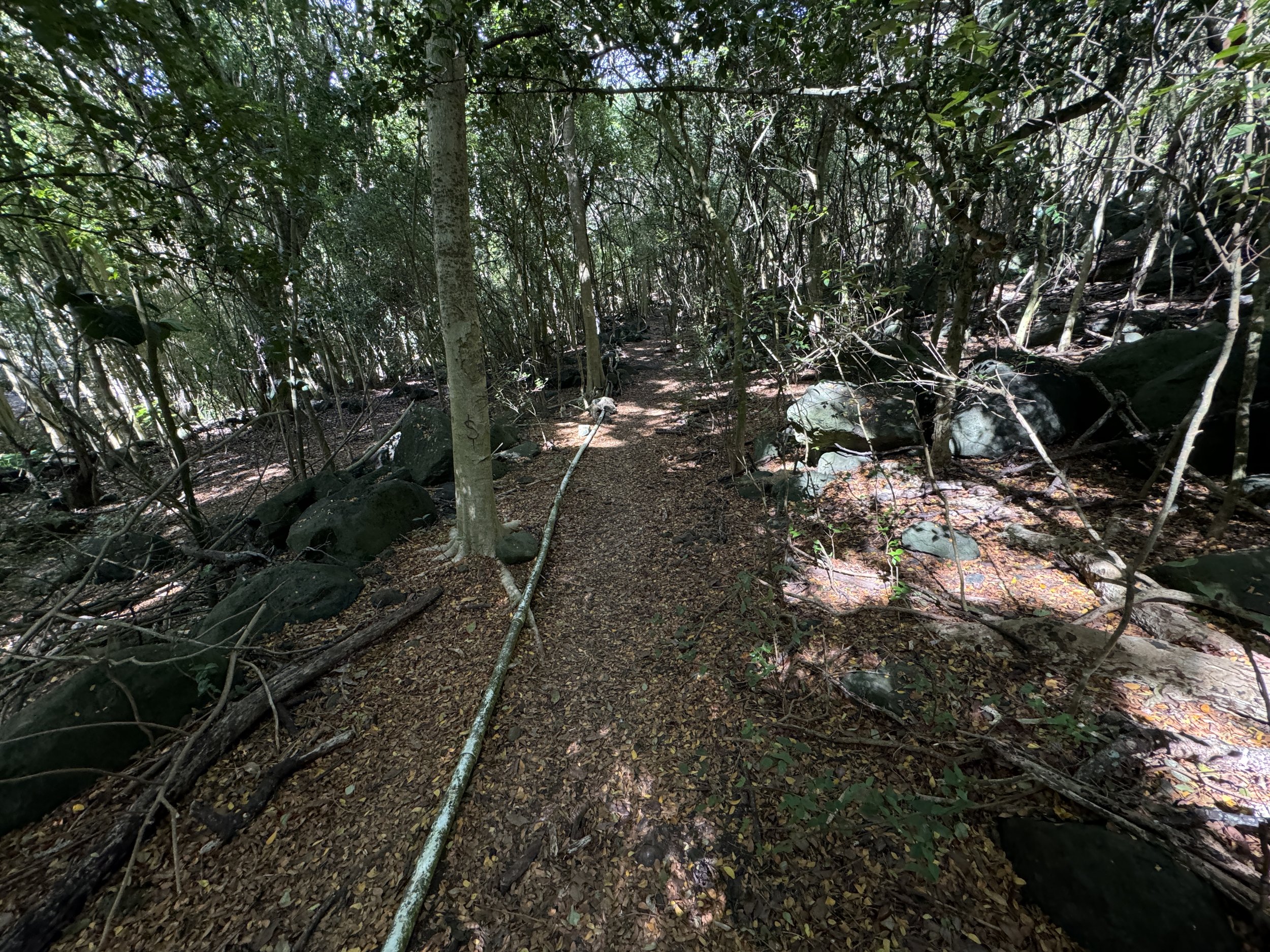 Hiking the Hālawa Valley Trail to Moaʻula & Hīpuapua Falls on Molokai ...
