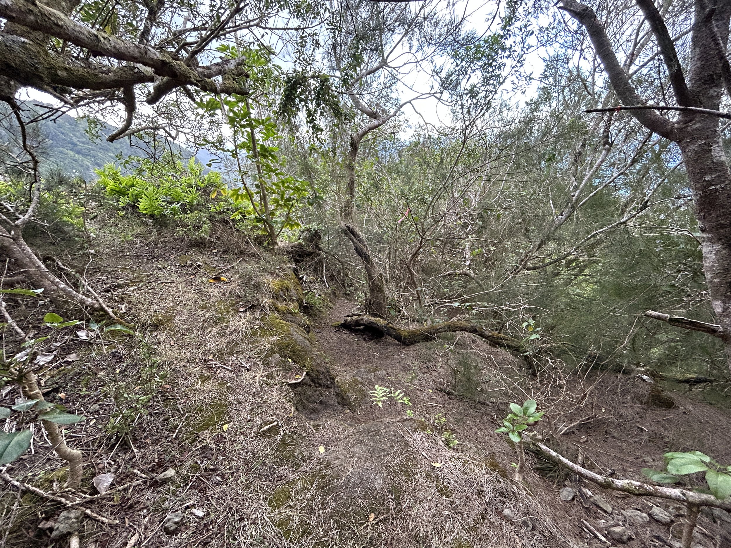 Hiking the Pyramid Rock Loop Trail on Oʻahu — noahawaii