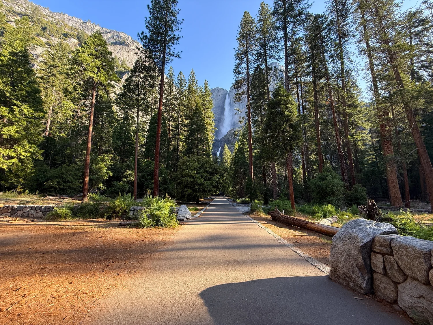 Hiking the Lower Yosemite Falls Trail in Yosemite National Park — noahawaii