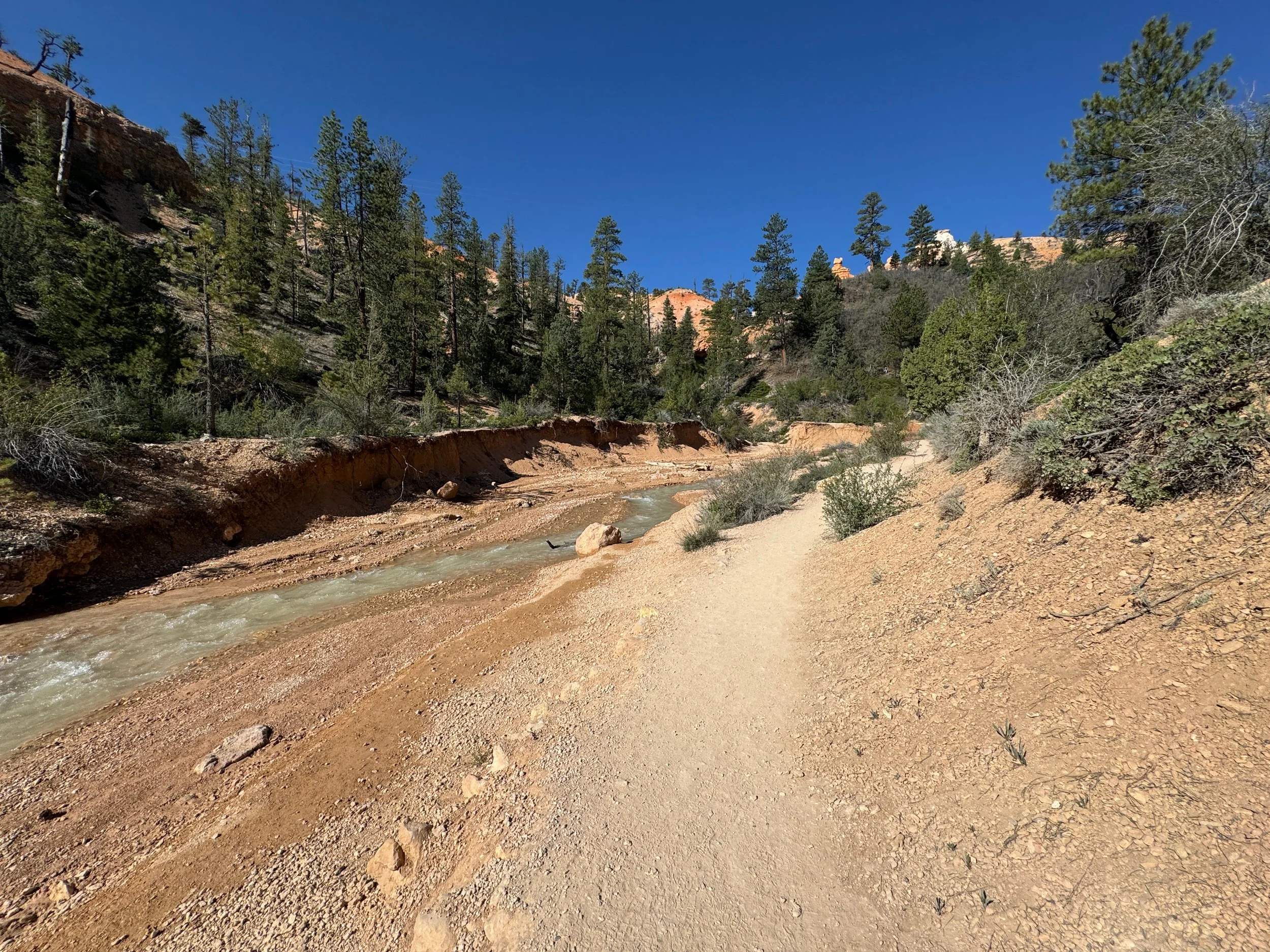 Hiking the Mossy Cave Trail in Bryce Canyon National Park — noahawaii