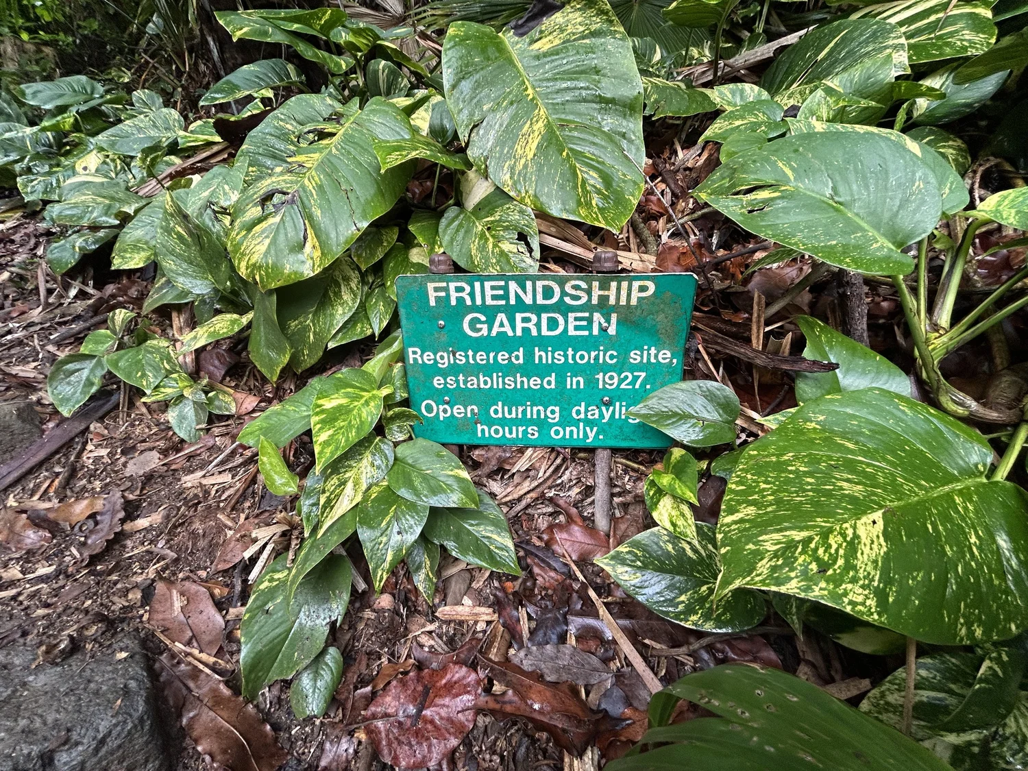 Hiking the Oneʻawa Hills Trail (Kapaʻa Quarry) via the Friendship ...